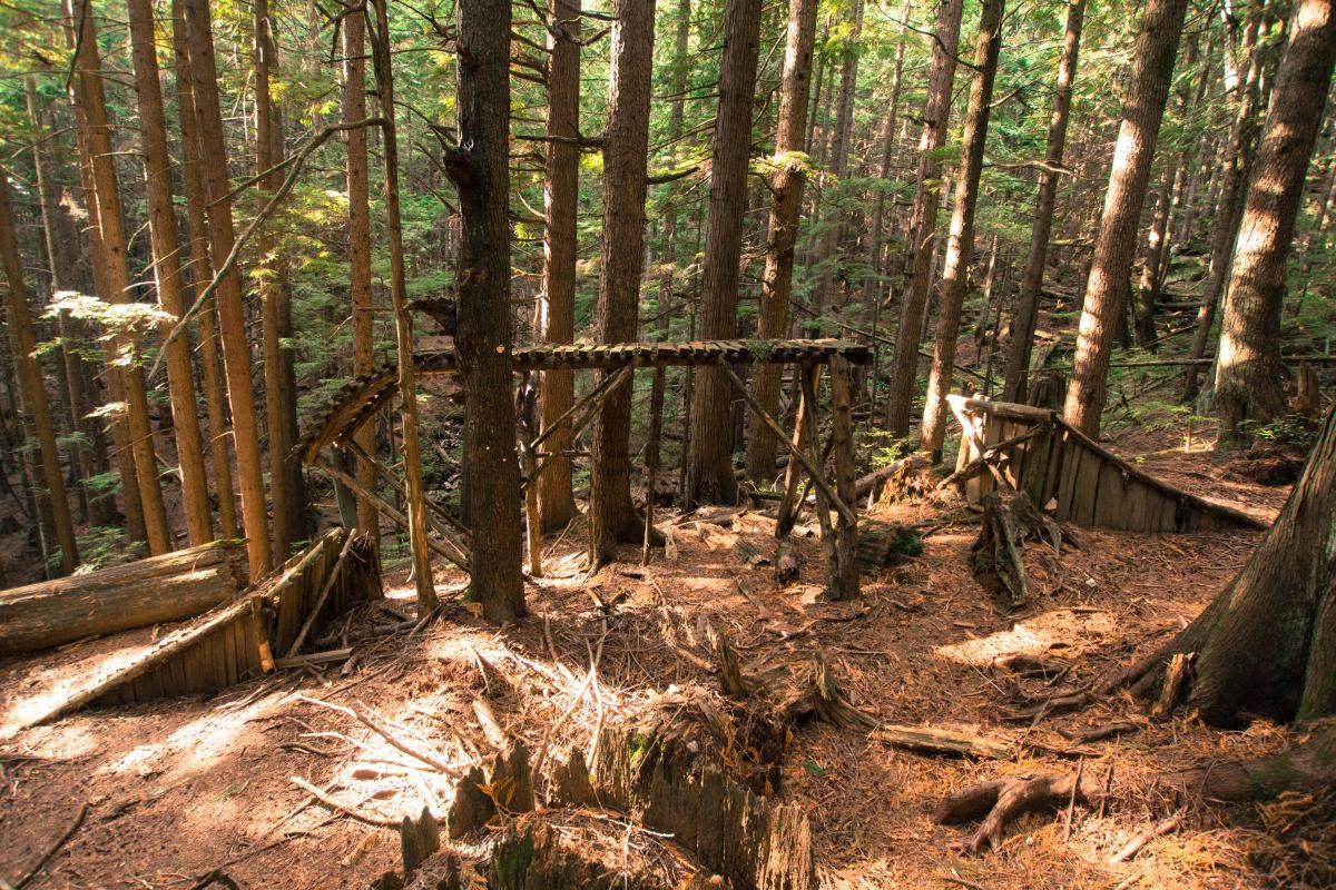 A Stroll along Jerry Rig | North Shore Mountain Bike Association