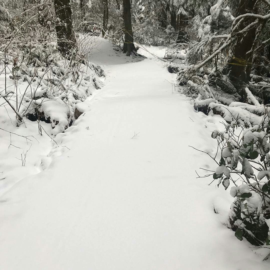 aMTB Trail Project | North Shore Mountain Bike Association