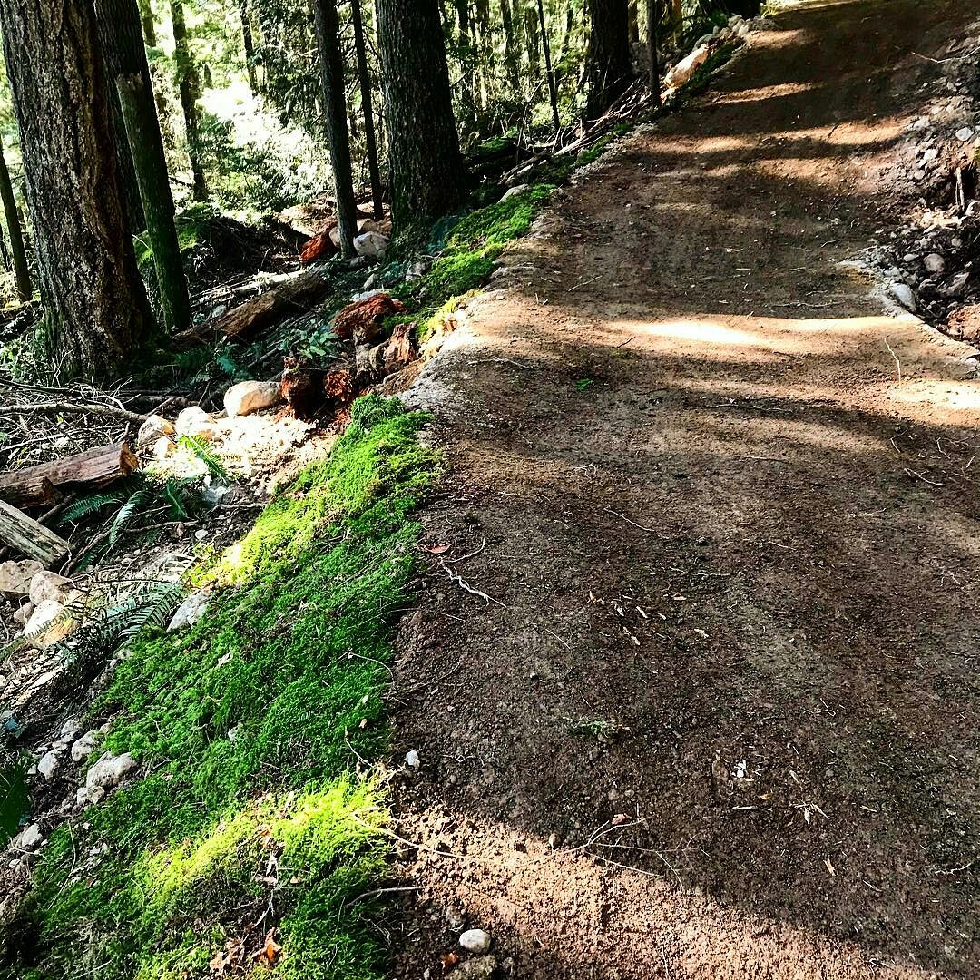 aMTB Trail Project | North Shore Mountain Bike Association